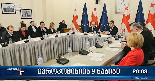ევროკავშირის 9 ნაბიჯი და მეორე სამუშაო შეხვედრა პარლამენტში