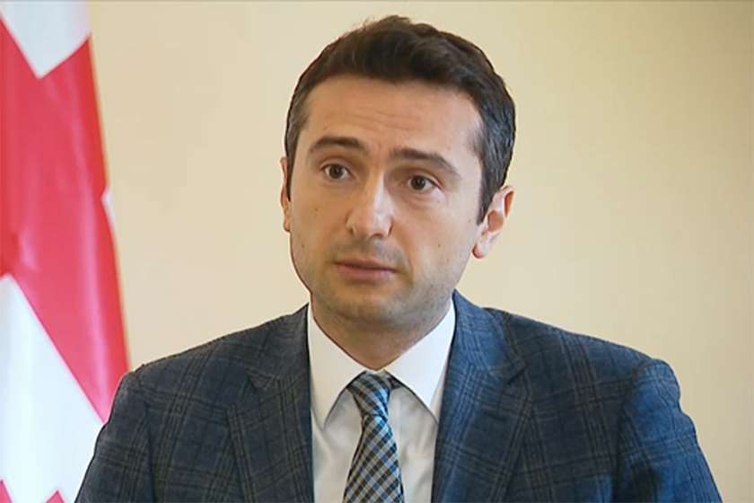 კახა კუჭავა: ევროპარლამენტში ყველა გამომსვლელმა აღნიშნა, თუ რამდენად ...