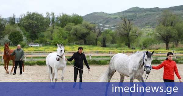 ბოლო 30 წლის განმავლობაში პირველად სპორტის სამინისტრომ ცხენოსნობის