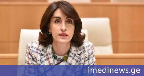 მაკა ბოჭორიშვილი დღეს ევროპარლამენტში არის ჯგუფი რომელიც საქართველოს