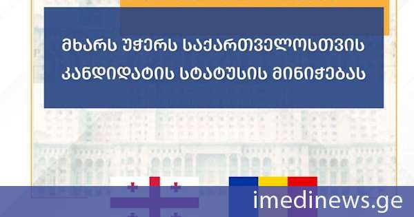რუმინეთის პარლამენტი მხარს უჭერს საქართველოსთვის კანდიდატის სტატუსის ...