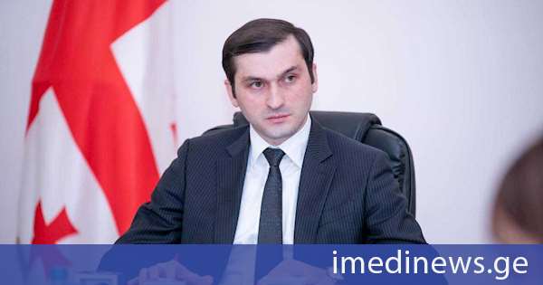 თორნიკე რიჟვაძე პოლიტიკური აქტორები რომლებიც ახალ პარტიებს ქმნიან
