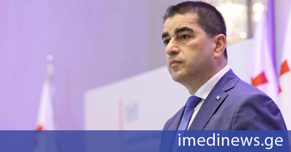 შალვა პაპუაშვილი დონორები და საელჩოები ნაცვლად იმისა რომ შეაფასონ