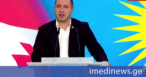 გივი მიქანაძე არჩევნებისთვის რეგისტრირებული ადგილობრივი სადამკვირვებლო