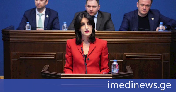 მაკა ბოჭორიშვილი ევროკავშირთან მოლაპარაკების პროცესი არის ძალიან