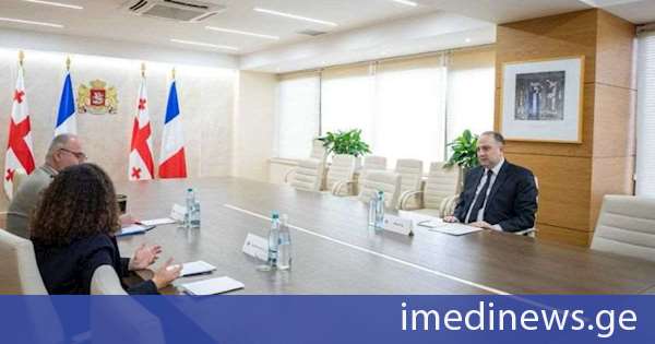 Georgian Defence Minister, French Ambassador review cooperation | imedinews