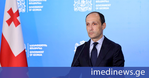 Georgian First Vice PM highlights Gov’t’s primary goal to eradicate ...